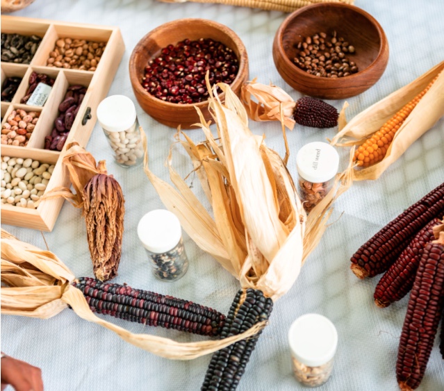 Living Off The Land - Akwesasne
